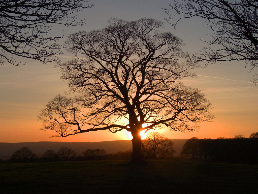 Hartcliff Young Accumulator Help Guide | Hartcliff | Lifestyle ...